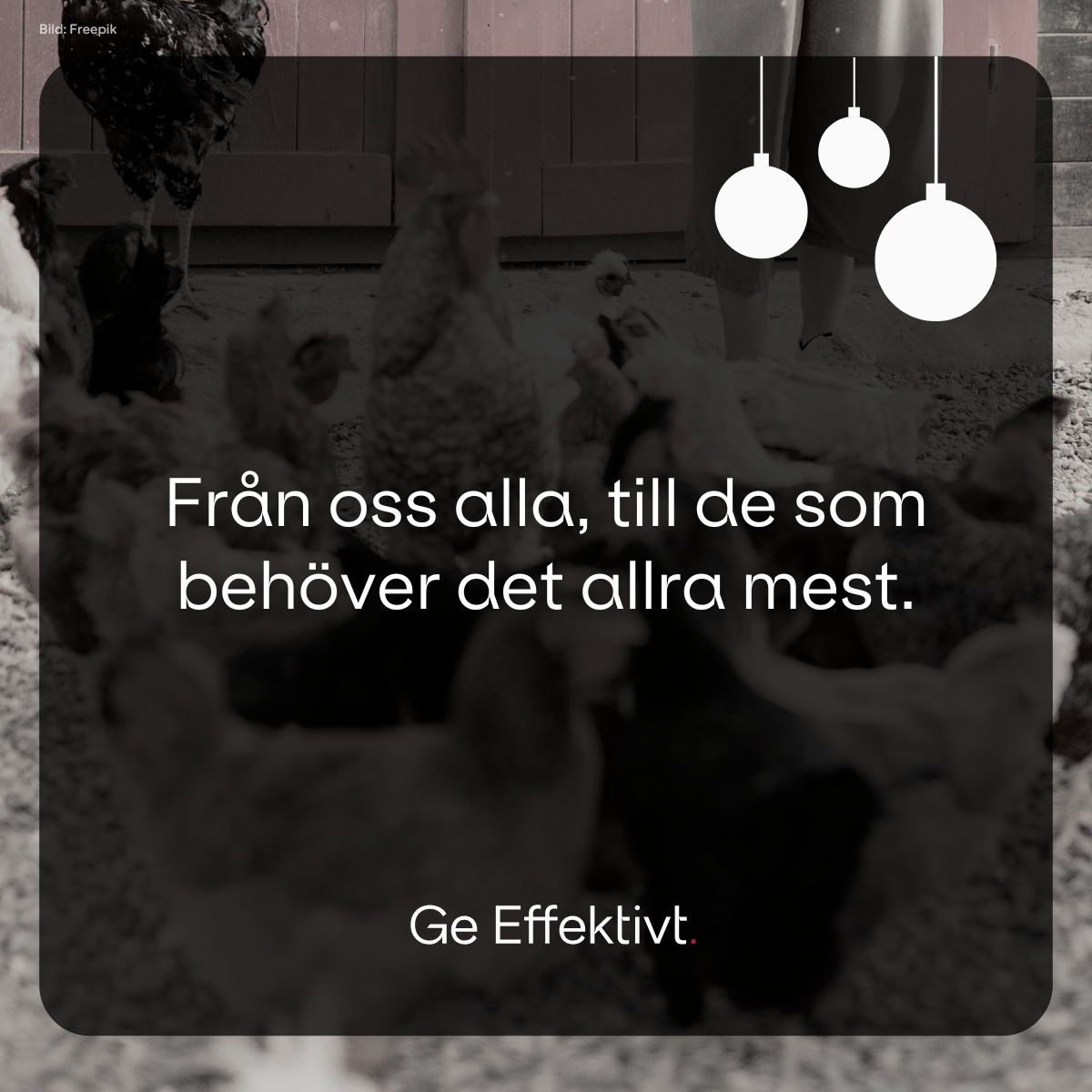 Skicka ett digitalt julkort som räcker längre än alla andra!